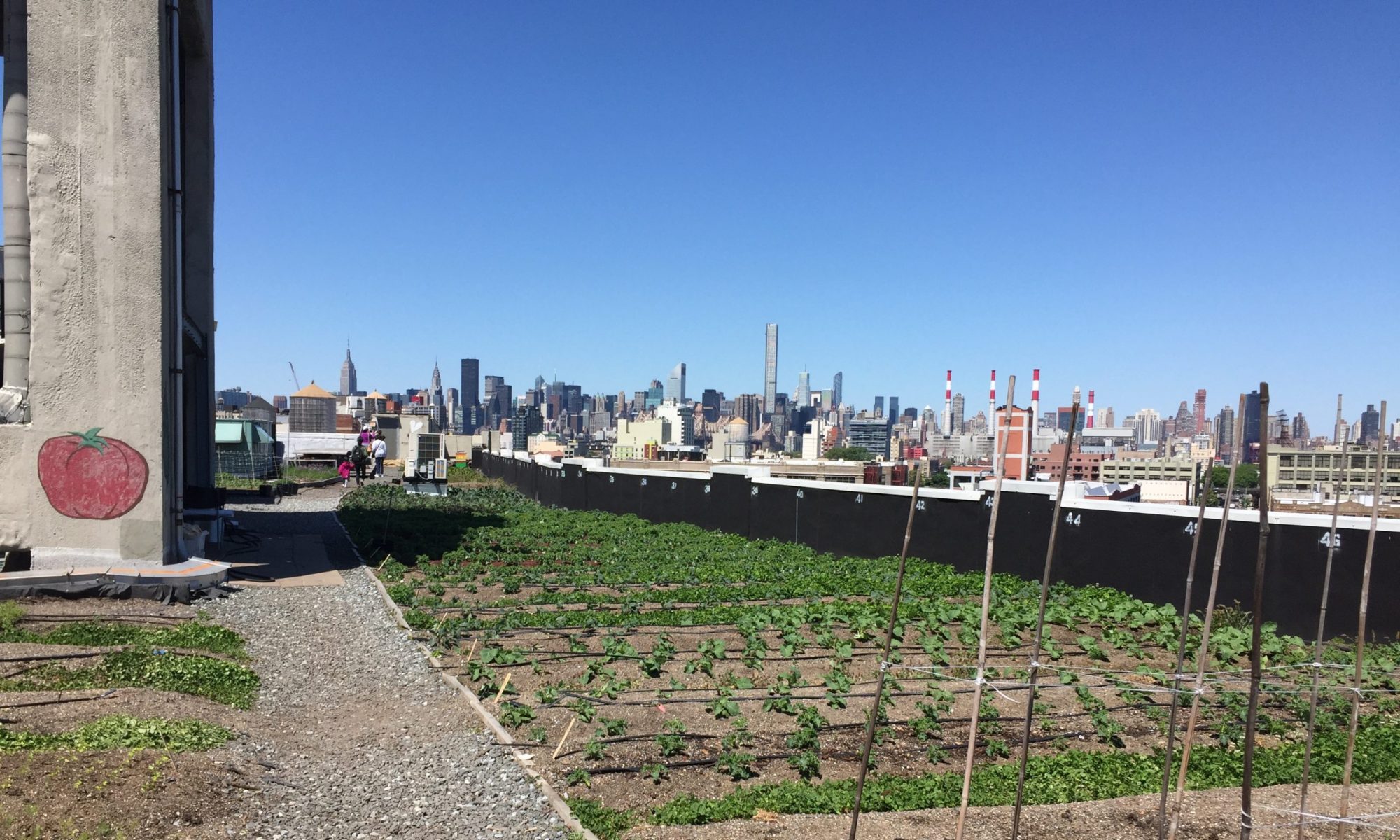 Green Grow & Thrive Catalyst - Green, Grow and Thrive Catalyst